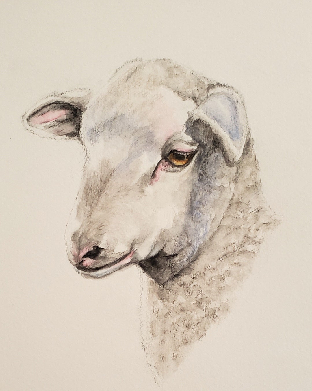 LAMB PORTRAIT GICLEE' - Farm Animal Fine Art Print - From Original by ...