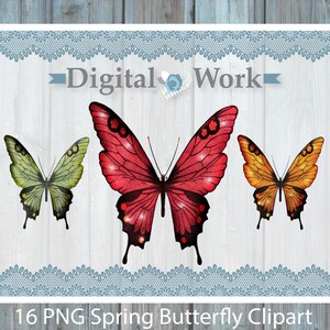 Butterfly Clipart: "spring Clipart" Butterfly Digital Clip Art Png ...