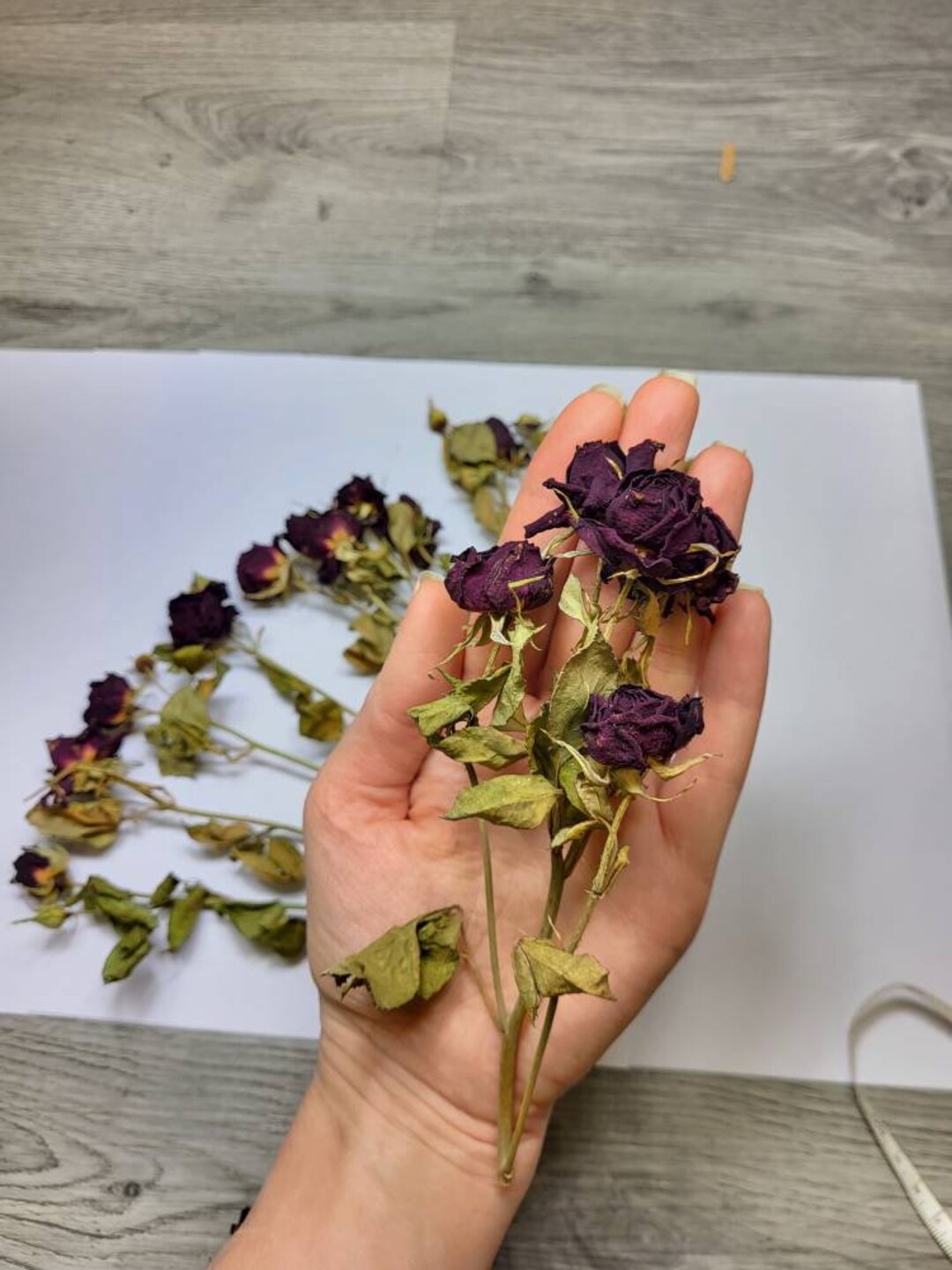 12pcs Natural Dark Red Rose Flowers Dried R3 - Etsy