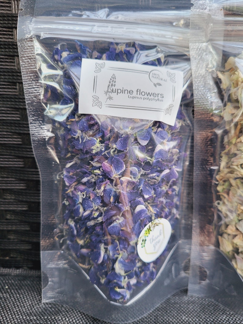 Dried Real Lupine Flowers - Etsy