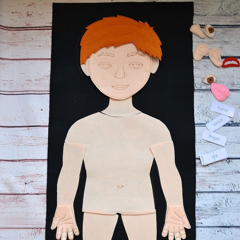 Human Body Felt - Etsy