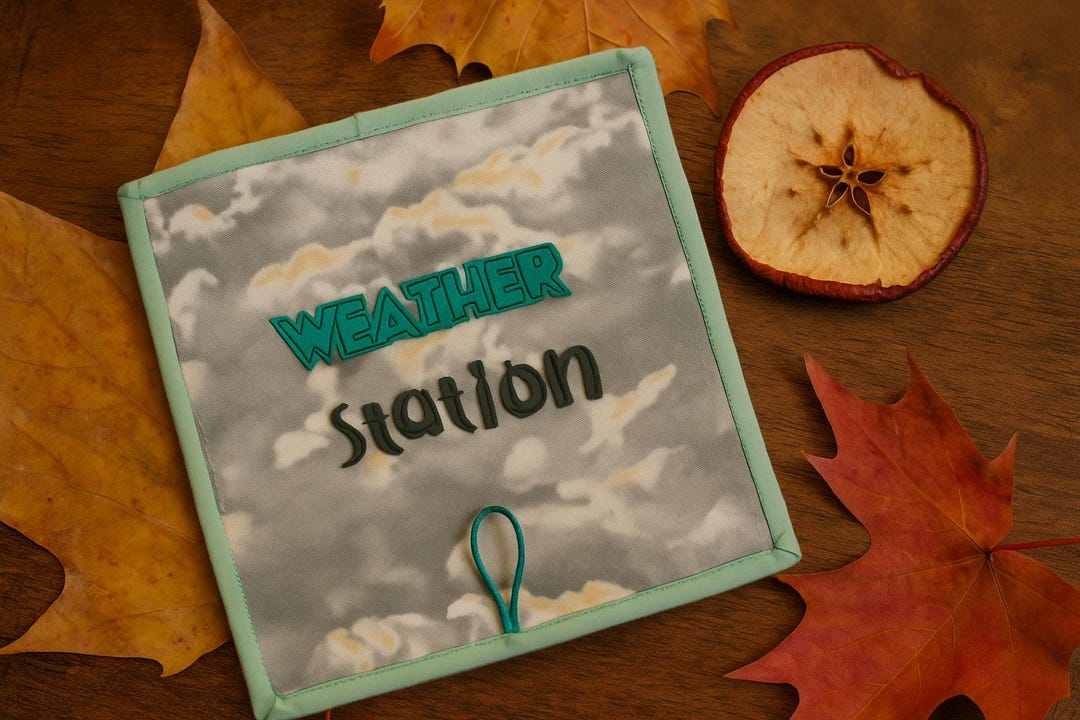 Weather Station Wall Chart, Interactive Busy Playmat, Fabric ...
