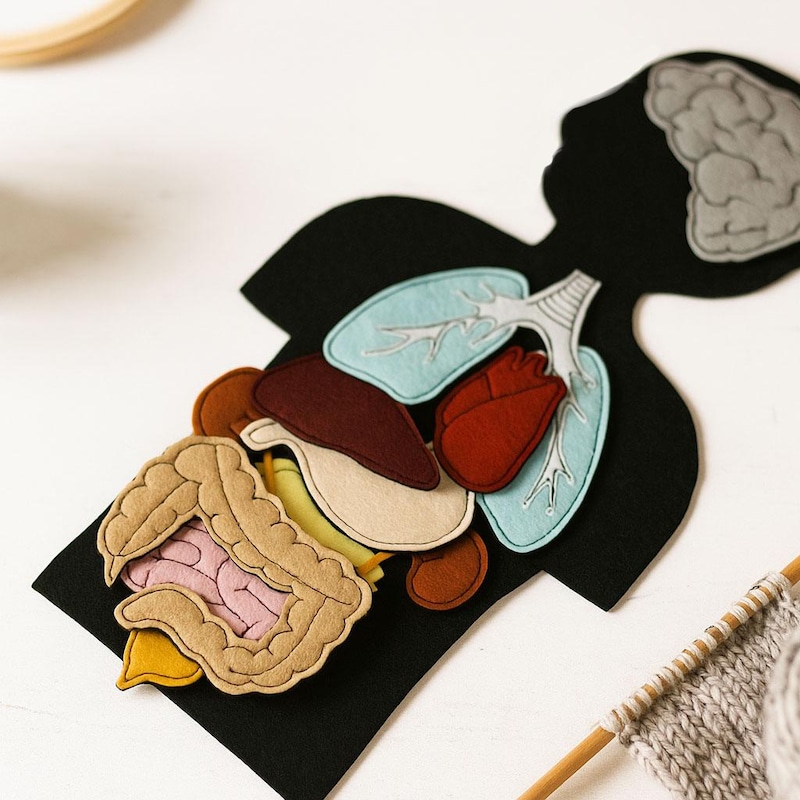 Human Body Felt - Etsy