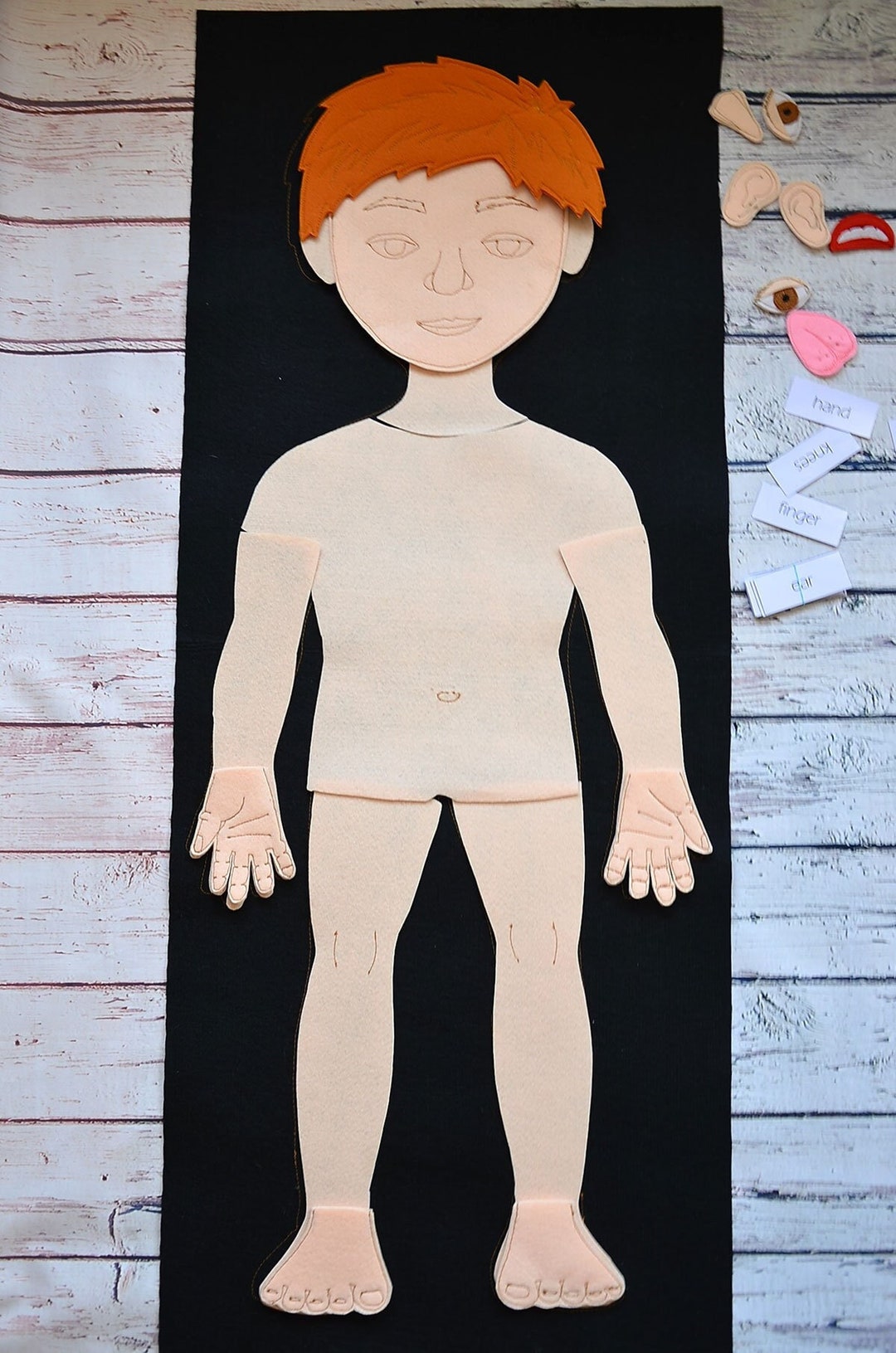 Felt Body Parts Set, 40x90cm - Etsy