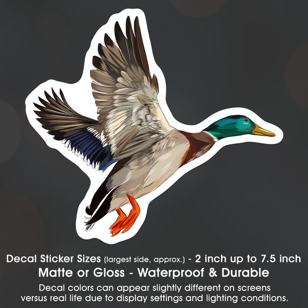 Mallard Duck Decal - Etsy