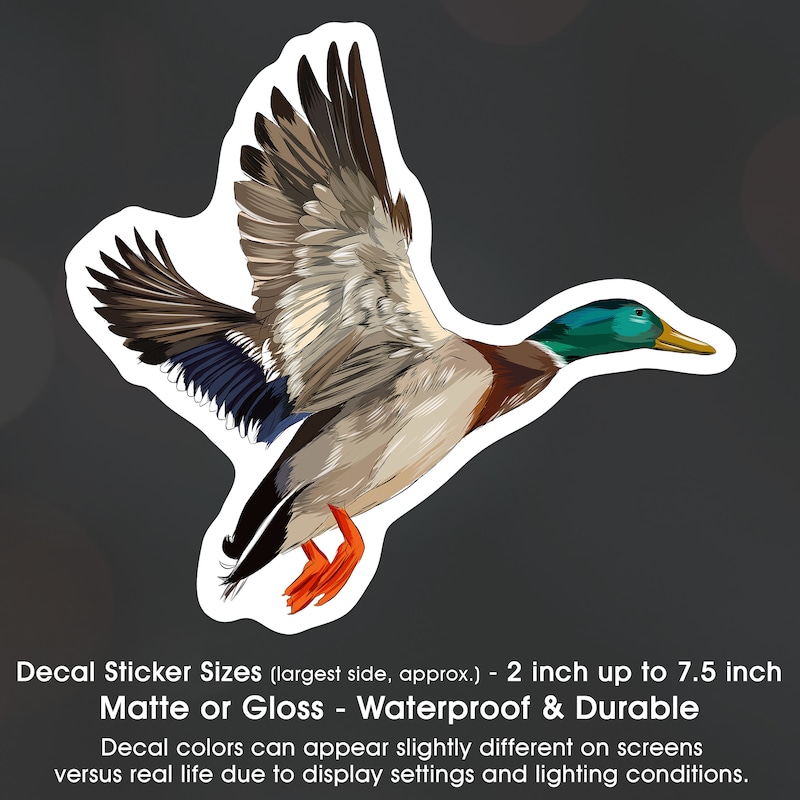 Duck Decals - Etsy