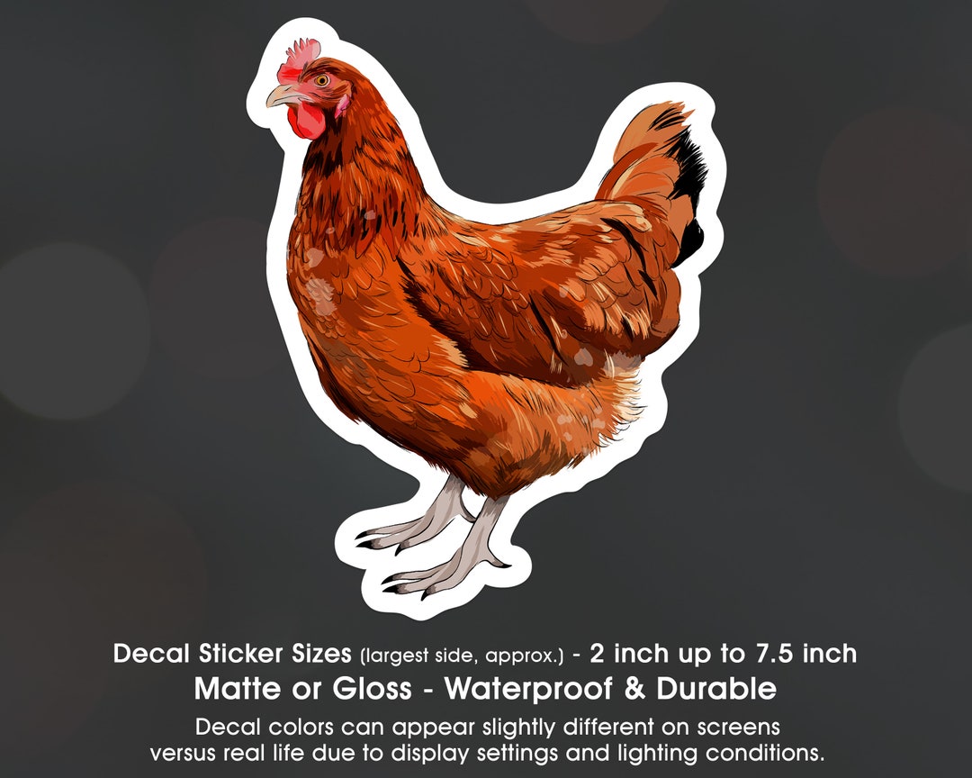 Chicken, Vinyl Decal Sticker Sizes 2 Inch up to 7.5 Inch, Waterproof ...