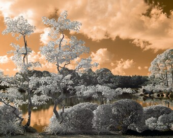 Infrared Art Print - Etsy