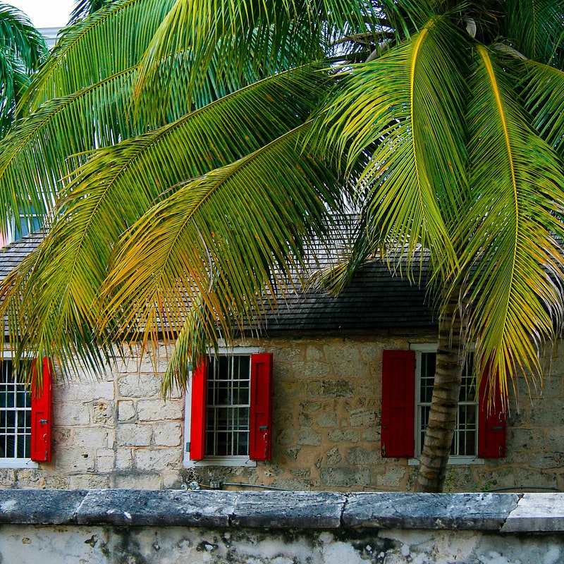Beach Shutters - Etsy