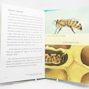 Life of the Honey-bee 1960s Ladybird Book Nature Hardback Nature, With ...