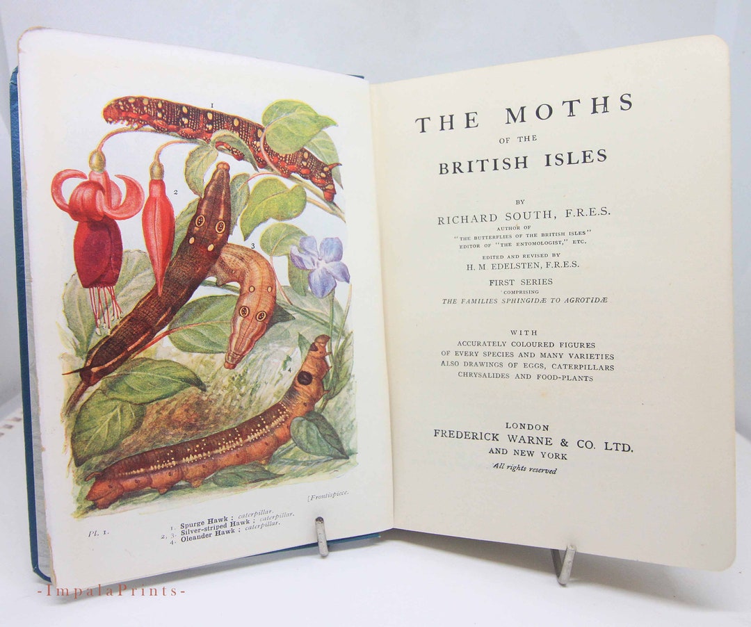 Moth Book With Colour Plates Vintage Hardback 1940 Natural History Gift ...