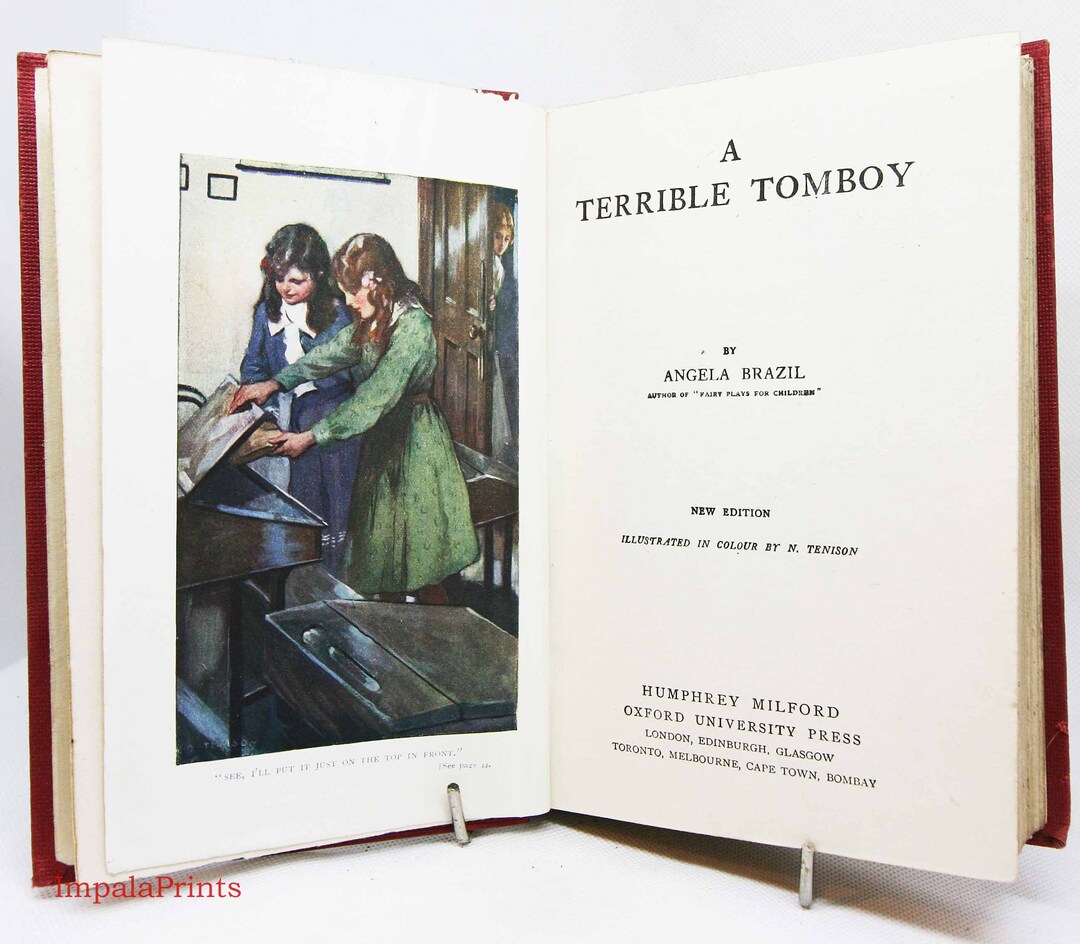 Terrible Tomboy Illustrated 1910s Childrens Antique Story Book ...