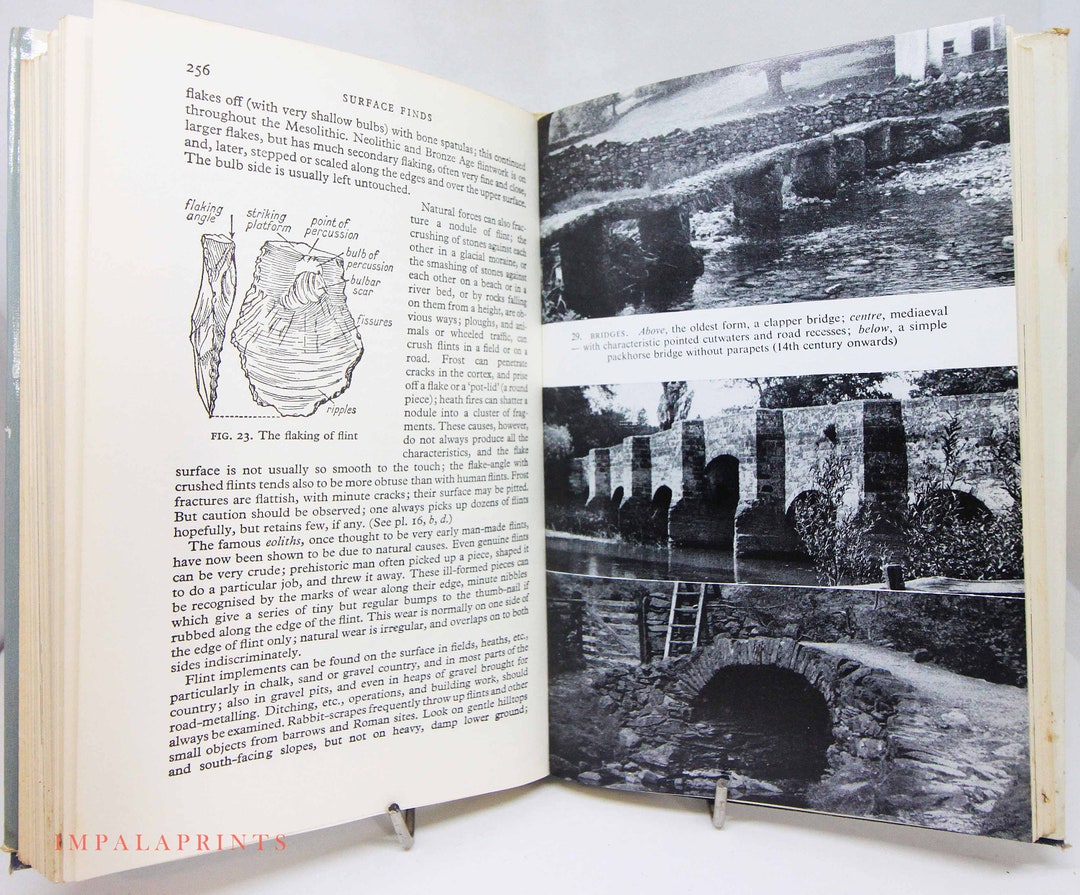 Field Guide to Archaeology Textbook Illustrated Archeological Guide ...