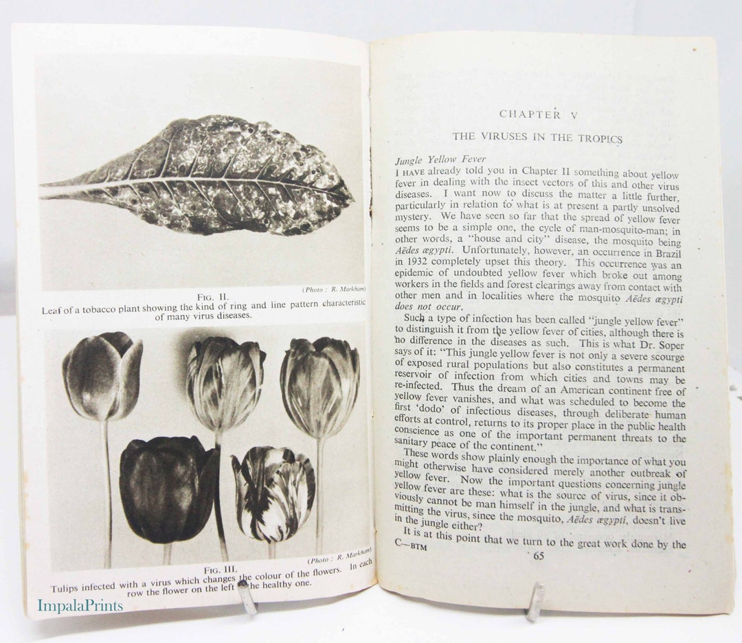 Beyond the Microscope 1943 Science Book Biology Illustrated Guide to ...