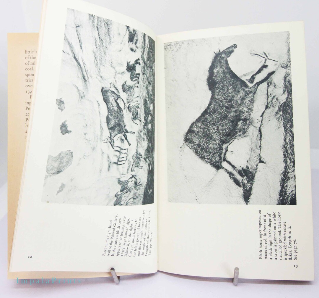 Lascaux Cave Paintings Old Book Prehistoric History Book Illustrated ...