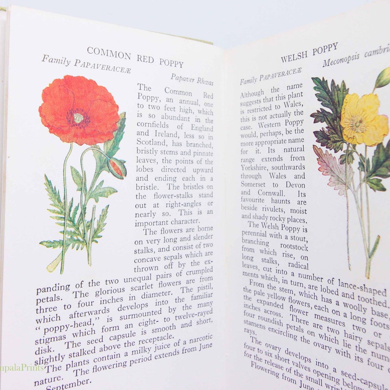 Vintage Flower Book - Etsy