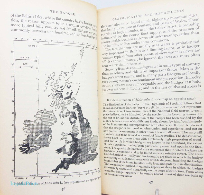 The Badger Nature Book Vintage Guide Factual 1958 Book Paperback Nature ...