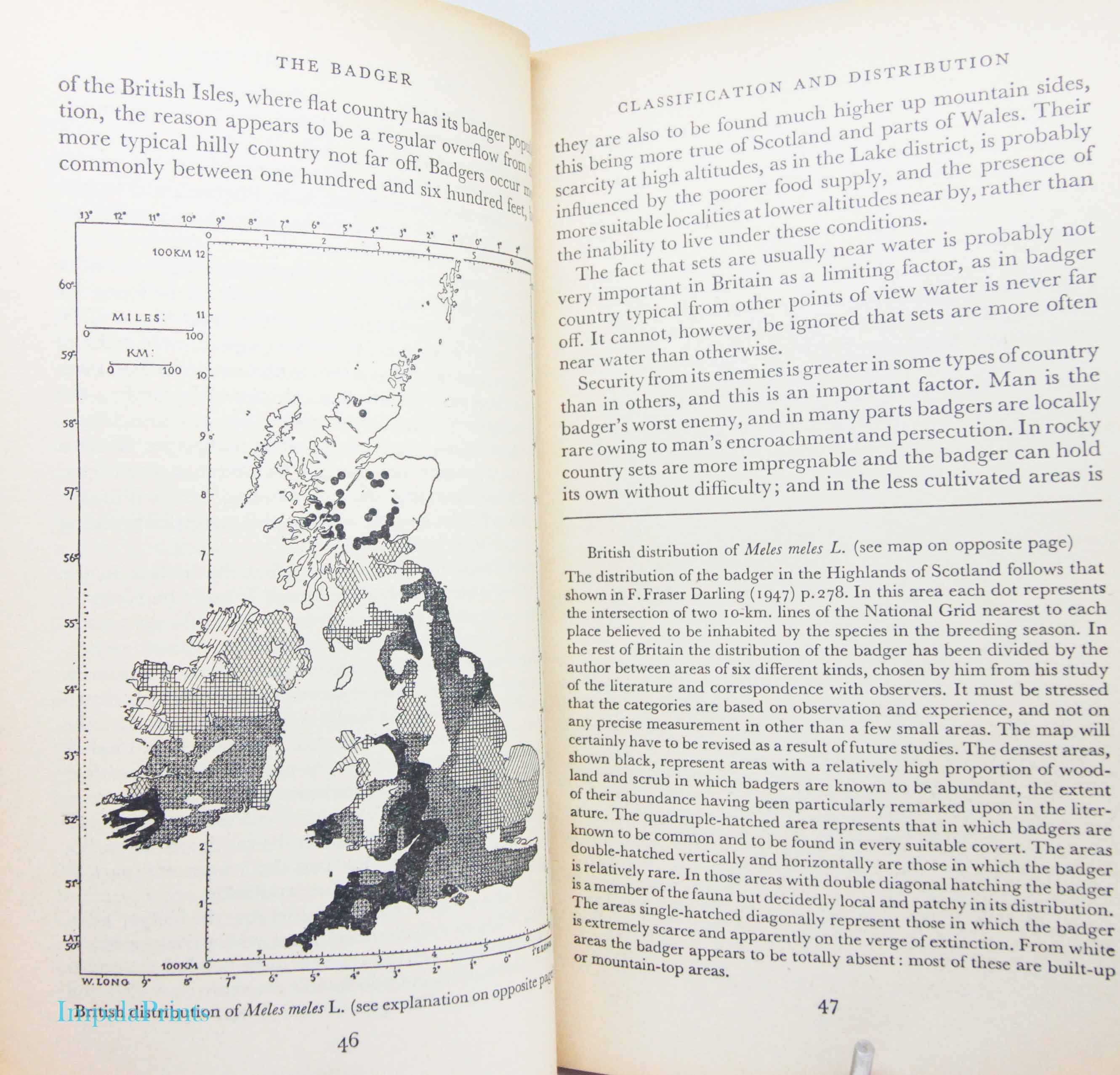 The Badger Nature Book Vintage Guide Factual 1958 Book Paperback Nature ...