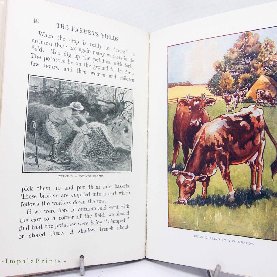 Nature Book Vintage 1911 the Farmer's Fields , Countryside Series ...