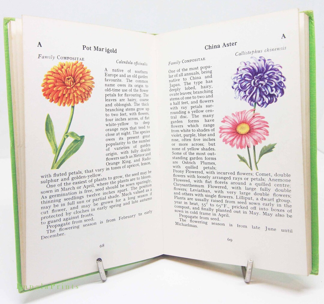 Vintage Garden Flowers Illustrated Plants Flower Picture Book Flowers ...
