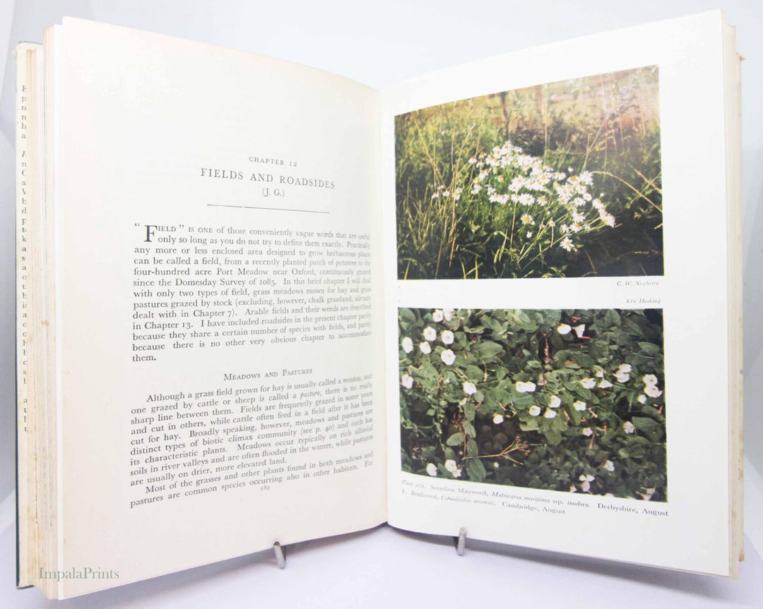 Book of Wild Flowers Illustrated Guide Flower Picture Book Guide ...