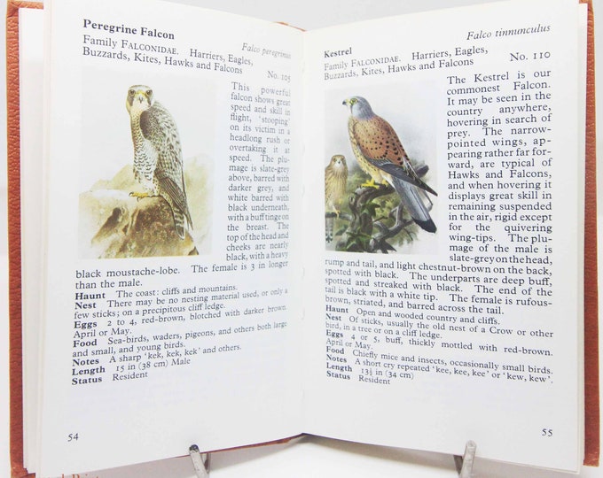 Birdwatching Guide Book Vintage Nature Hardback Ornothology Bird Book ...