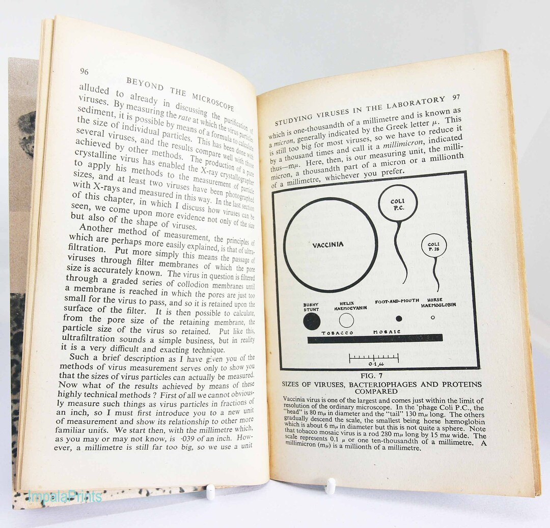 Beyond the Microscope 1943 Science Book Biology Illustrated - Etsy