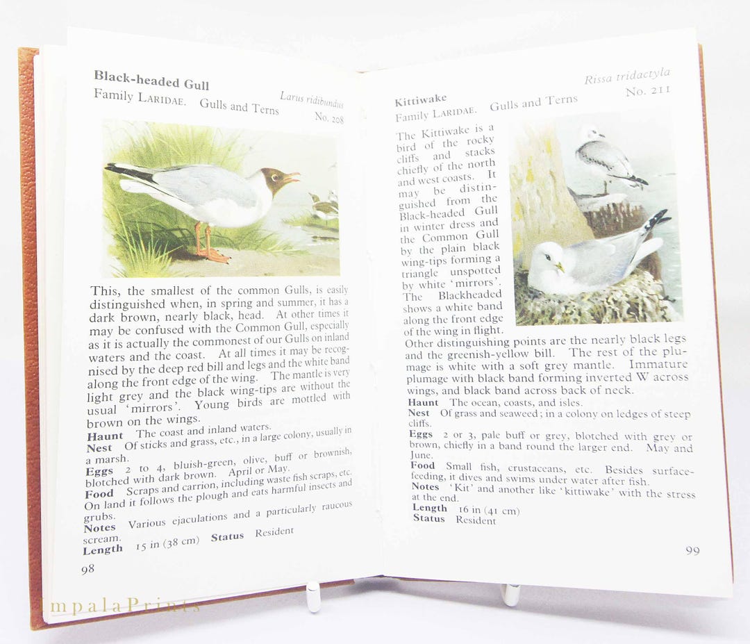 Birdwatching Vintage Book Illustrated Bird Book Nature Hardback ...