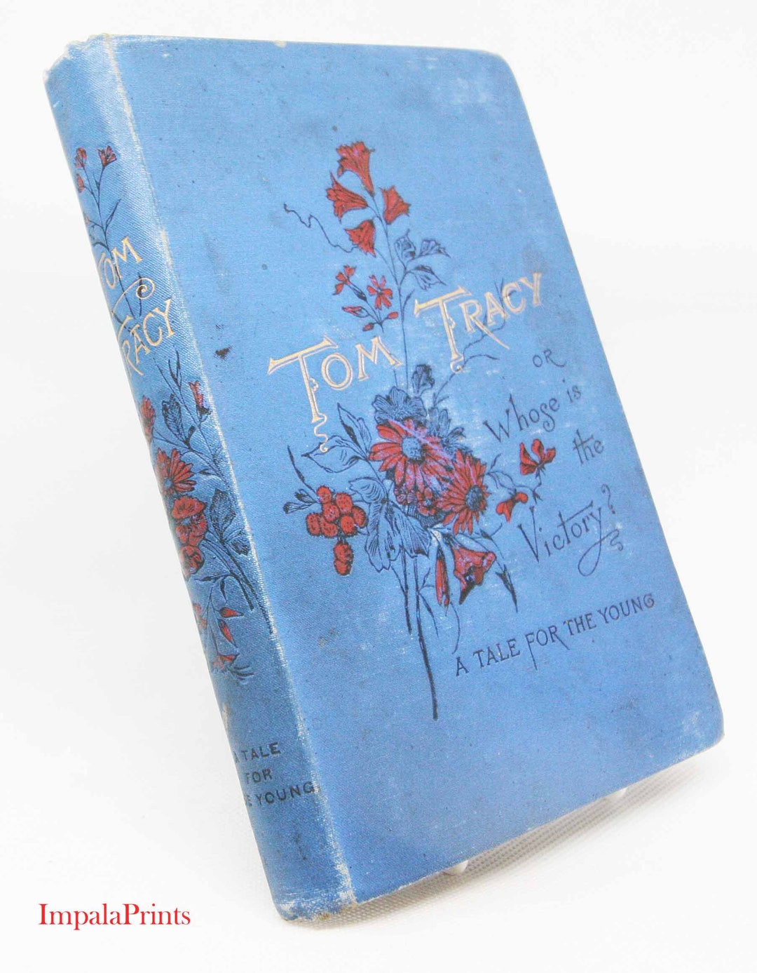 Tom Tracy 1889 Antique Victorian Era Illustrated Travel Book Adventure ...