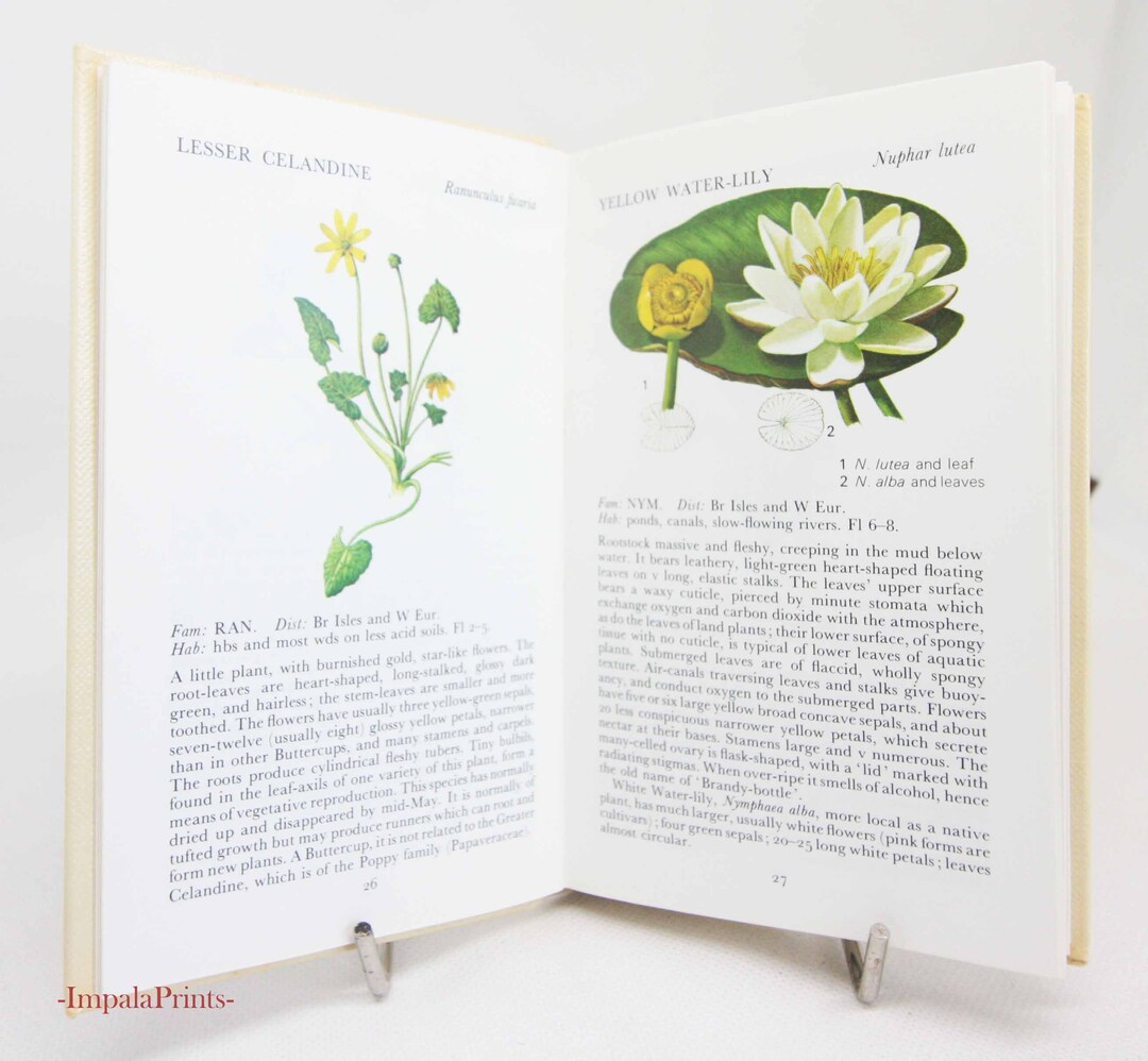 Vintage Book Wild Flowers Illustrated Plants Flower Picture Book Gifts ...