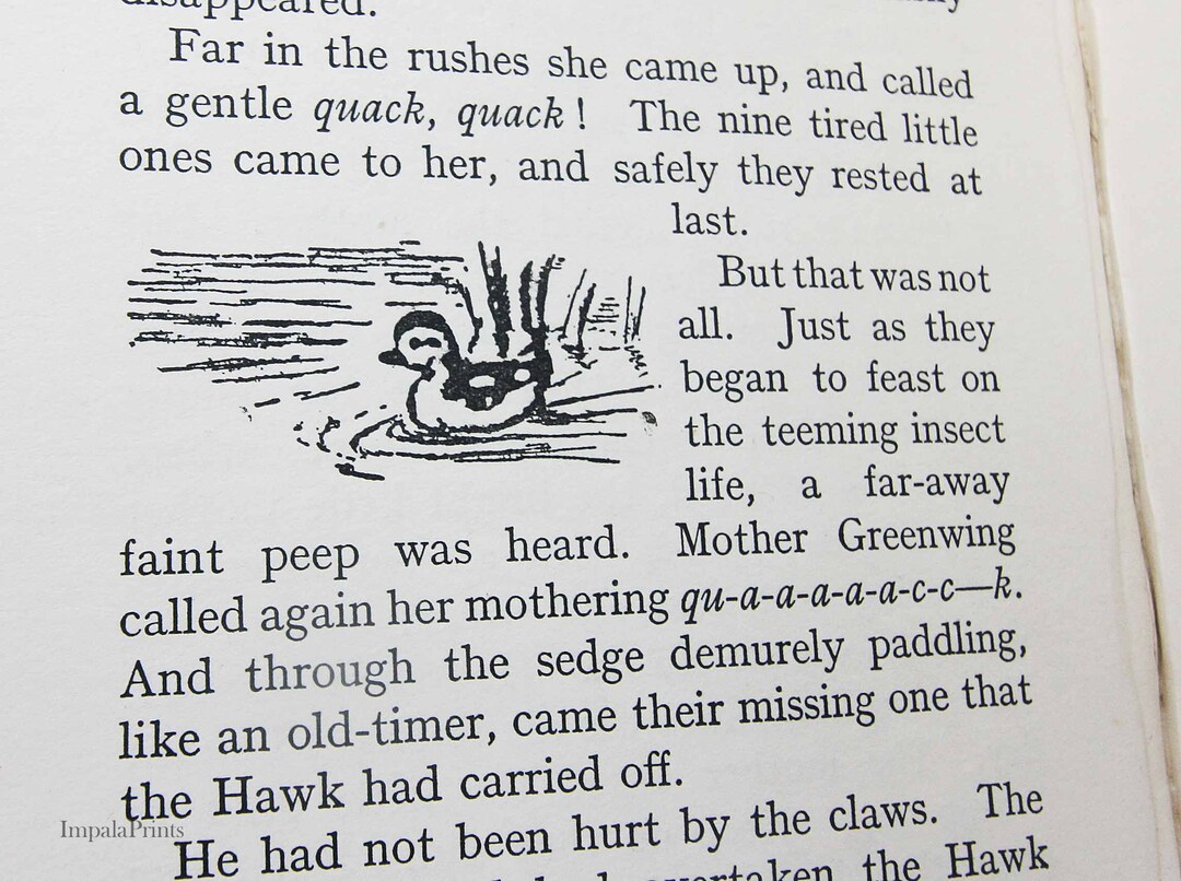 Little Dog Stories Illustrated Antique for Animal Lovers 1920s Stories ...