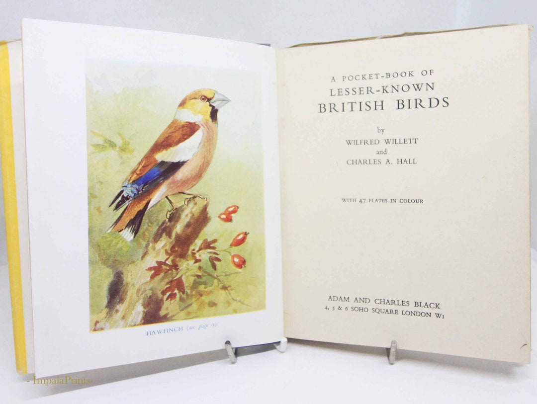 British Birds, Lesser Known Illustrated Bird Book Guide Book Vintage ...