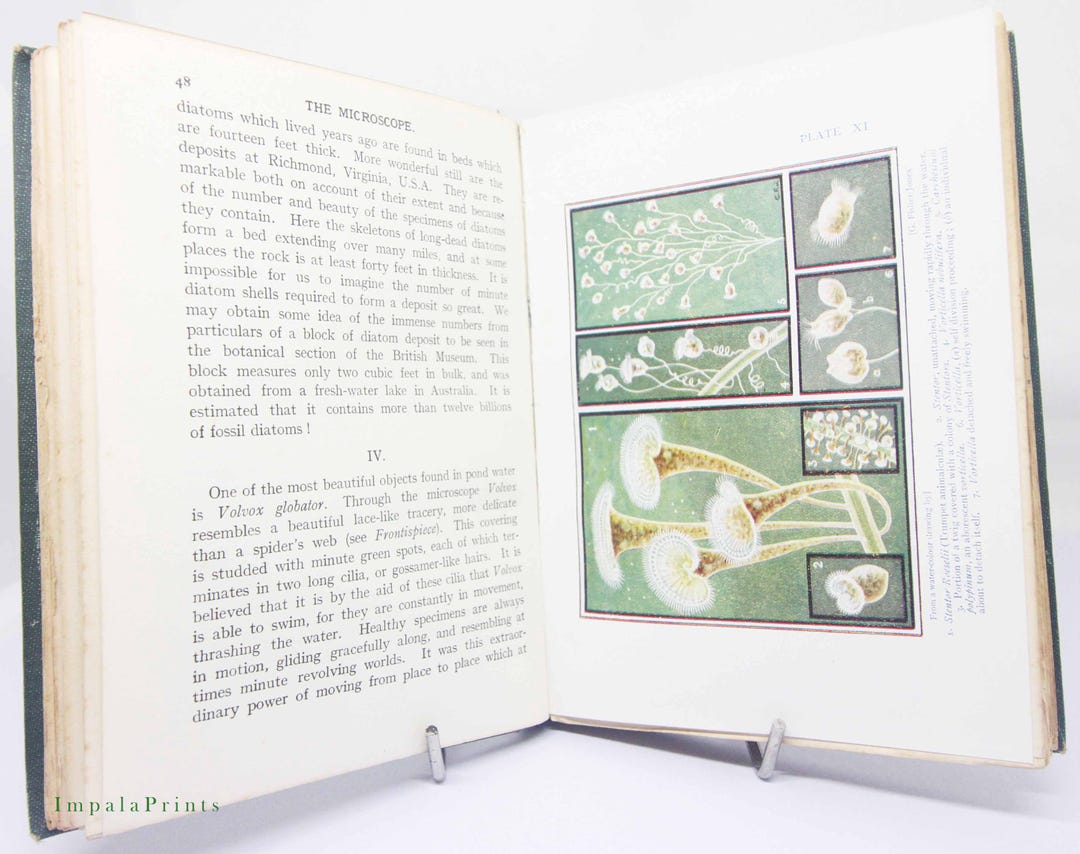 Microscope Science Book 1930s Antique Children Textbook Rare Old Book ...