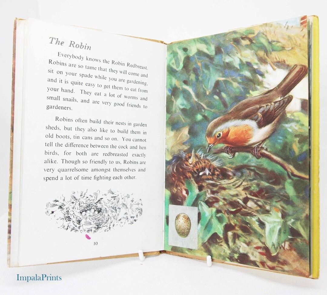 Bird Book Illustrated Ladybird Book Nature First Edition Hardback 1950 ...