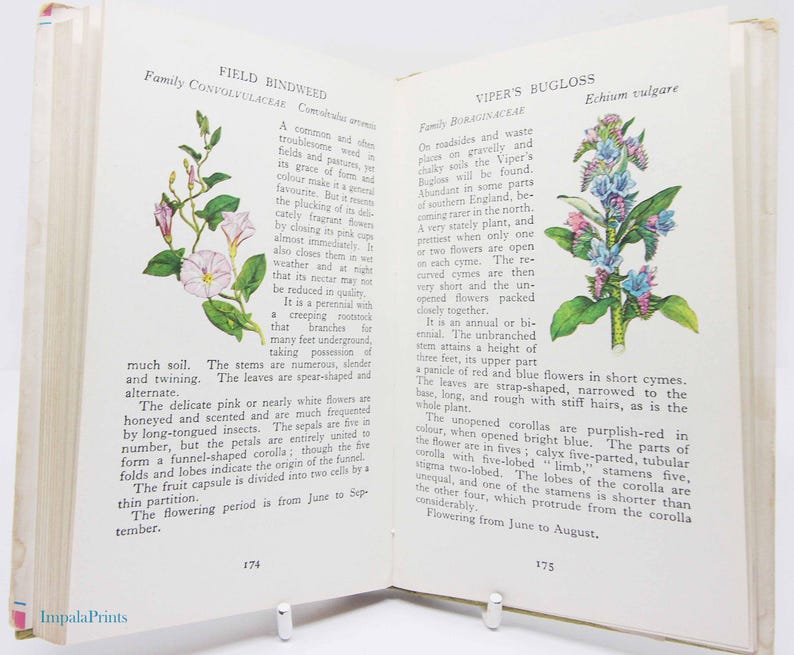 Vintage Book Wild Flowers Illustrated Plants Flower Picture Book Gifts ...