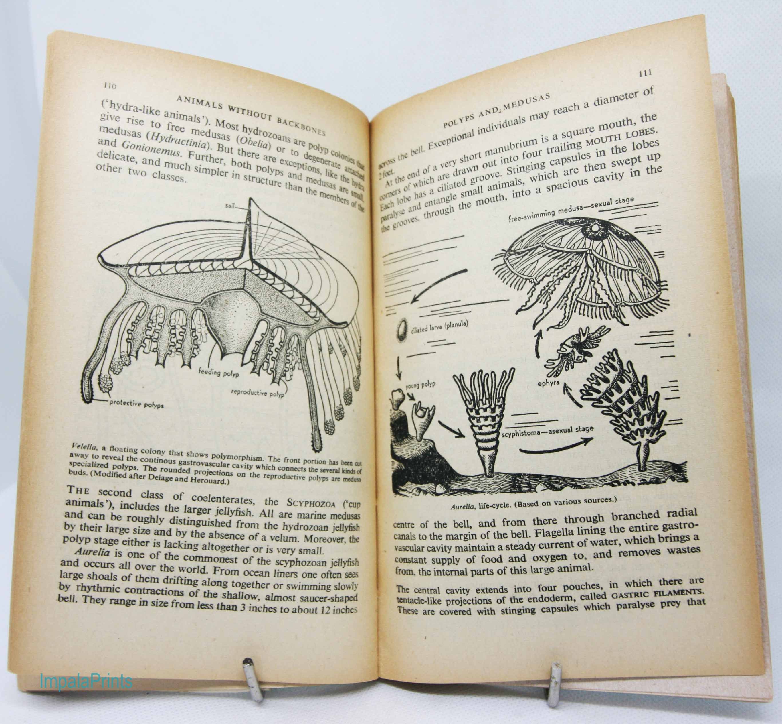 Accessibly written books about marine life? : r/marinebiology