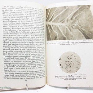 Beyond the Microscope 1943 Science Book Biology Illustrated Guide to ...