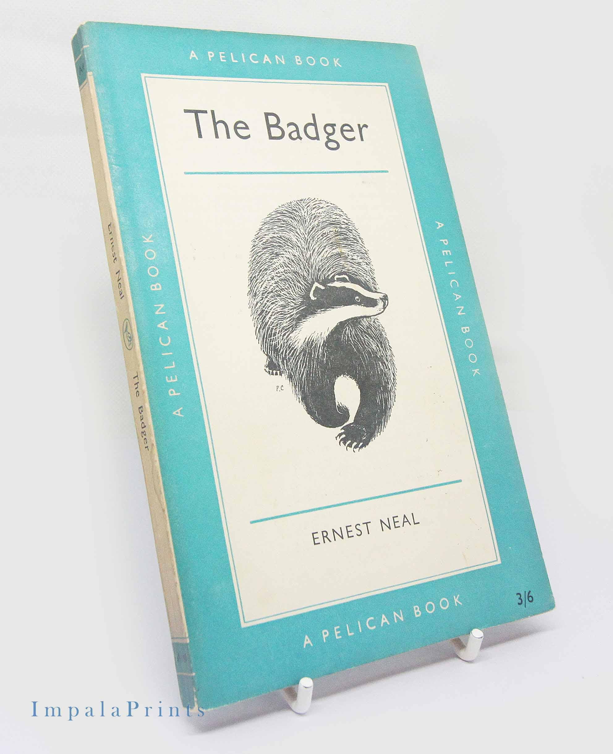 The Badger Nature Book Vintage Guide Factual 1958 Book Paperback Nature ...