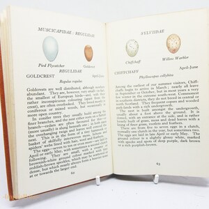 Birds Eggs Guide Book Vintage Nature Hardback Ornothology Bird Book ...