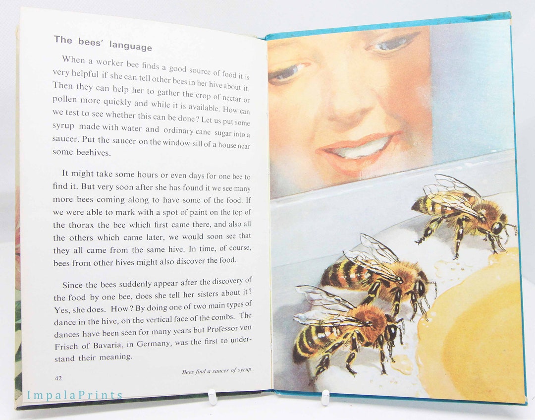 Life of the Honey-bee 1960s Ladybird Book Nature Hardback Nature, With ...
