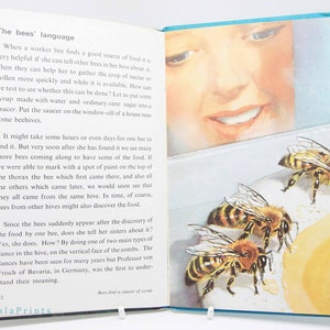 Life of the Honey-bee 1960s Ladybird Book Nature Hardback Nature, With ...