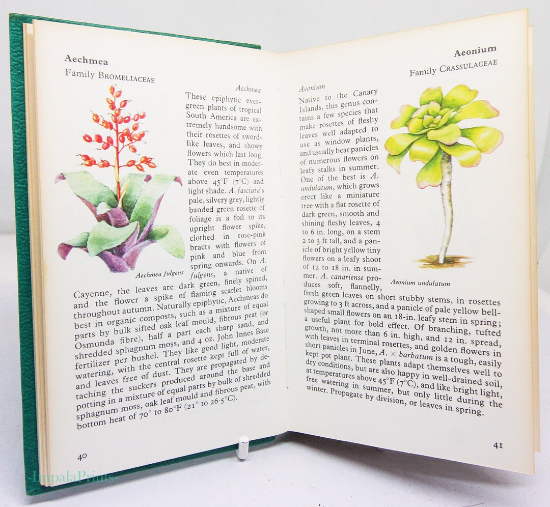 Vintage Flower Book on House Plants Illustrated Picture Book 1972 ...