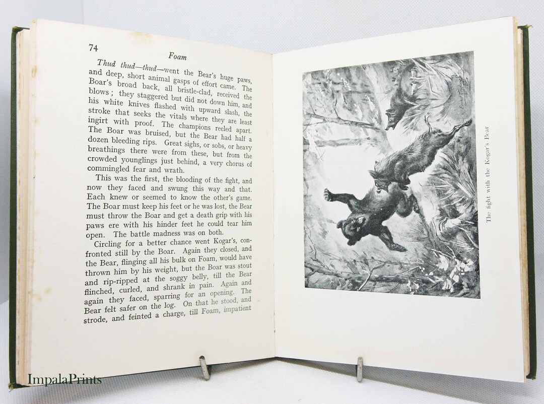 Childrens Book Foam Razorback 1925 Vintage Old Book Childrens Stories ...
