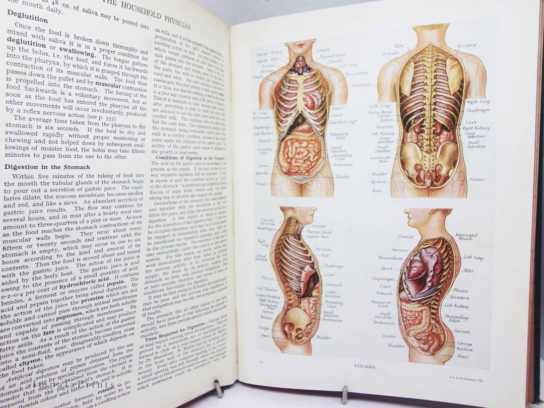 Vintage Illustrated Medical Book: 1934 Household Medicine, Anatomy ...