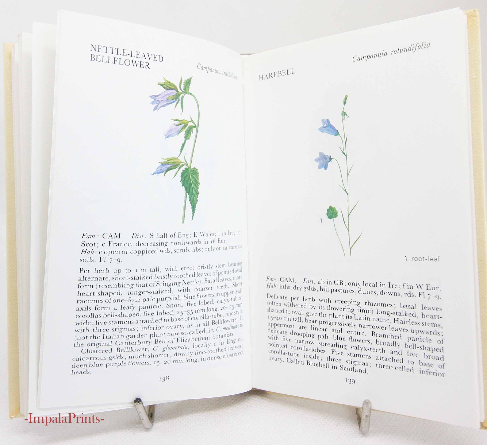 Vintage Book Wild Flowers Illustrated Plants Flower Picture Book Gifts ...