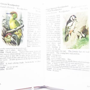 Birdwatching Vintage Book Illustrated Bird Book Nature Hardback ...