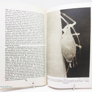 Beyond the Microscope 1943 Science Book Biology Illustrated Guide to ...