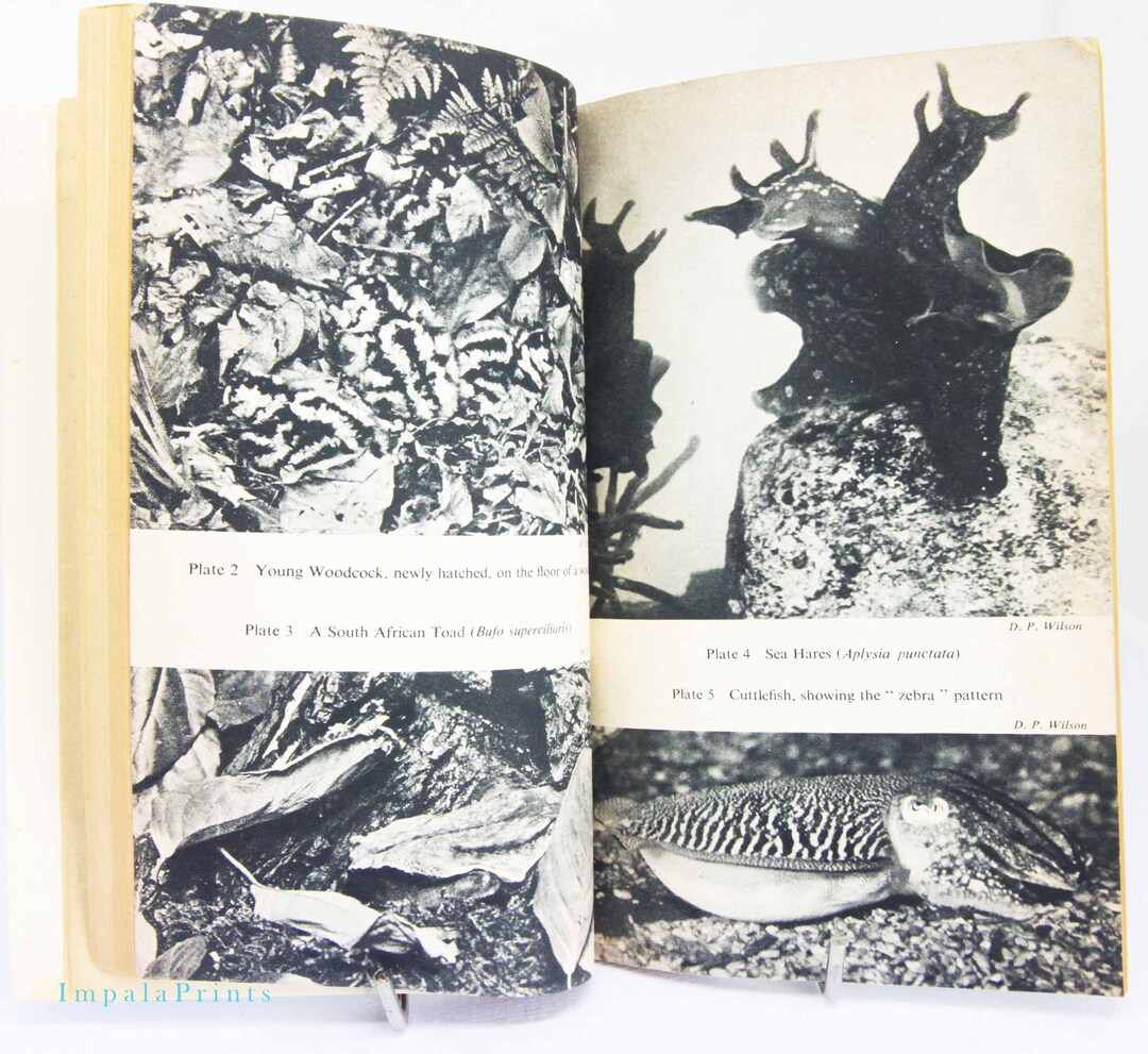 Animal Science Book, Camouflage 1946 Gift Ideas Paperback Book ...