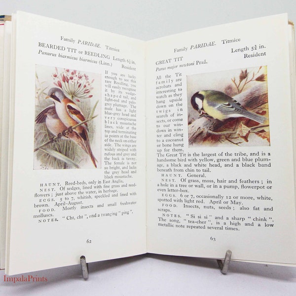 Vintage Bird Book - Etsy