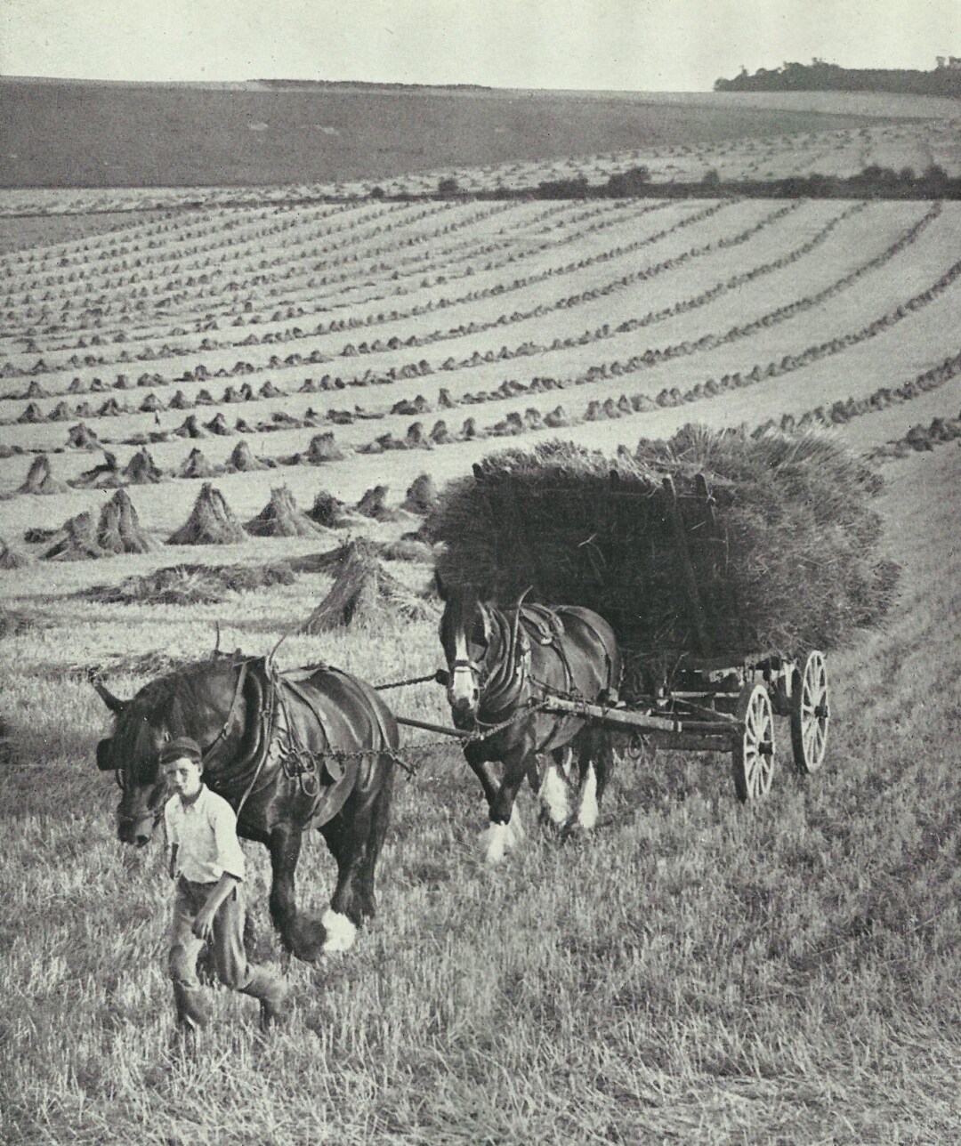 Englishharvest Print 1930s Rural Life Vintage Print B & W Photograph ...